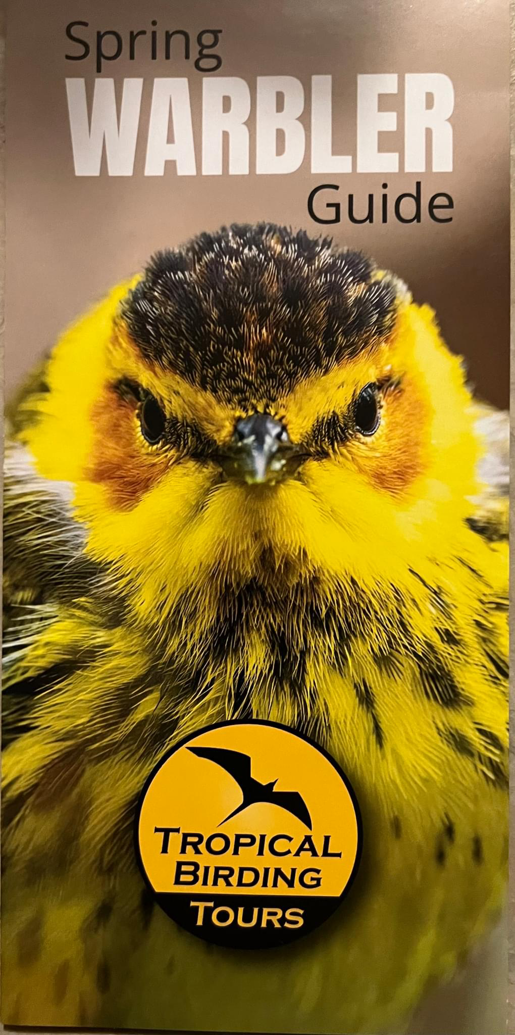 Tawas Point Bird Migration Days | AuSable Valley Audubon